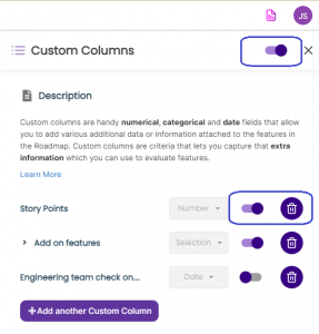 How To Use Custom Columns - Chisel Help